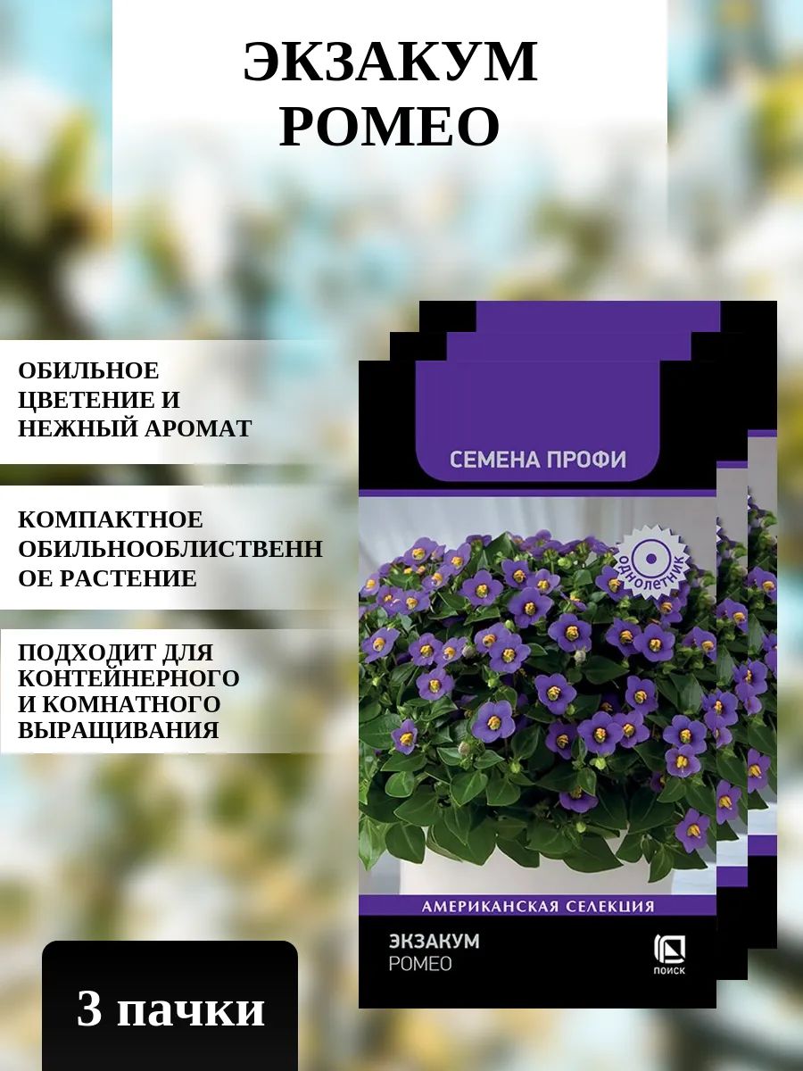 Экзакум Ромео, 3 пачки по 5 семян