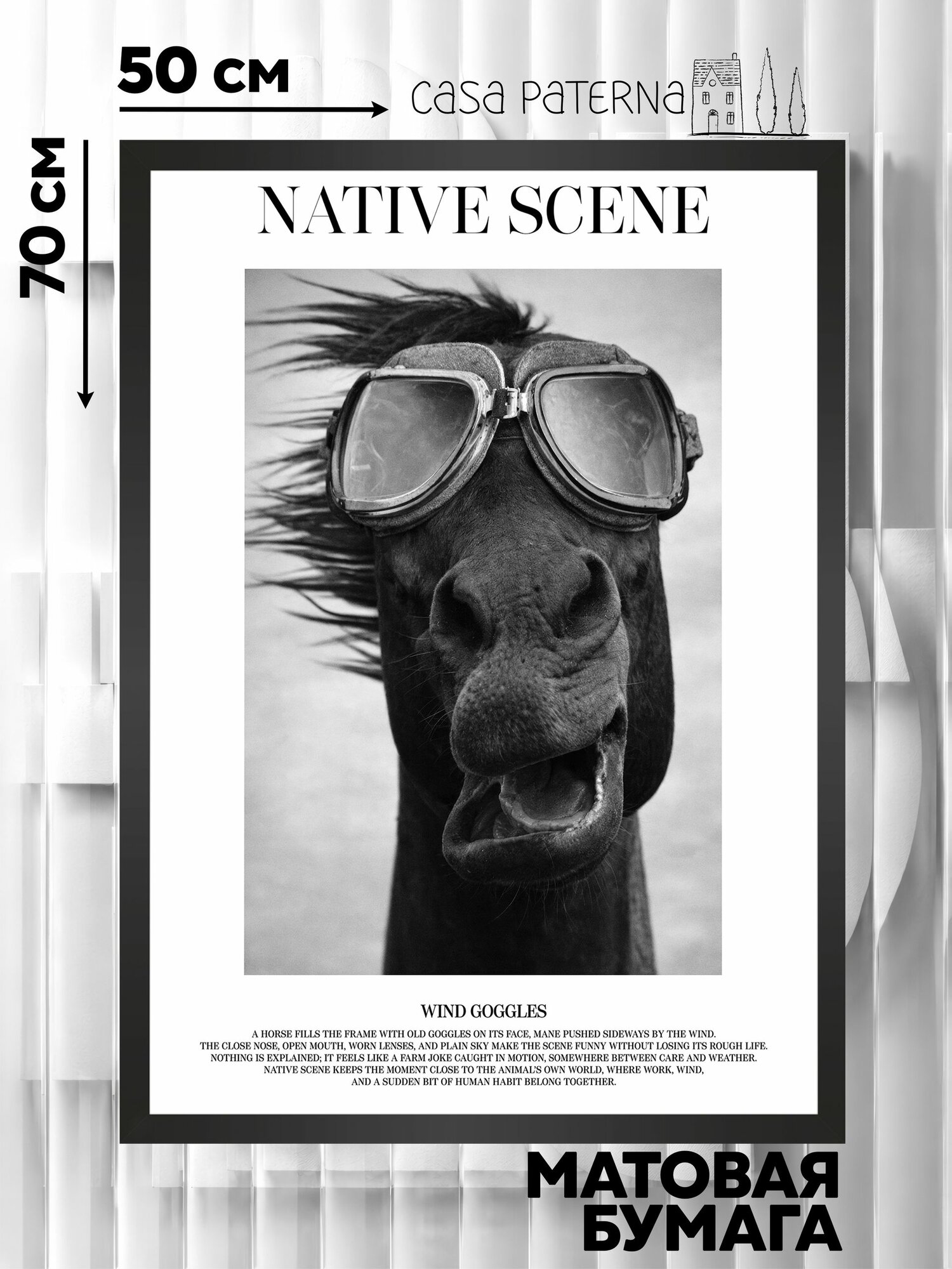 Постер на стену 50х70 Native Scene #14, черно-белая фотография для интерьера, чб без рамки Casa Paterna