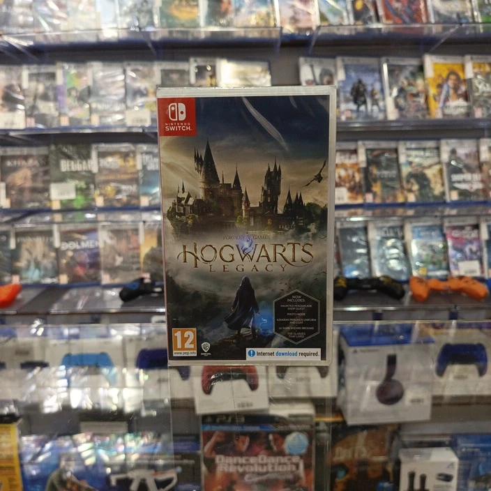 Hogwarts Legacy [Nintendo Switch, русские субтитры](SPC)