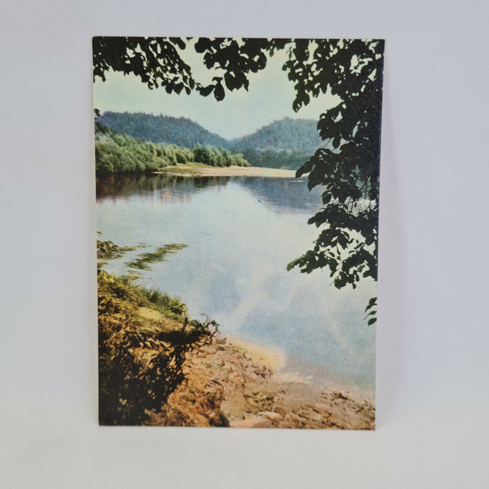 Открытка советская СССР. Излучина реки Гауя в Сигулде, Латвия. Винтаж