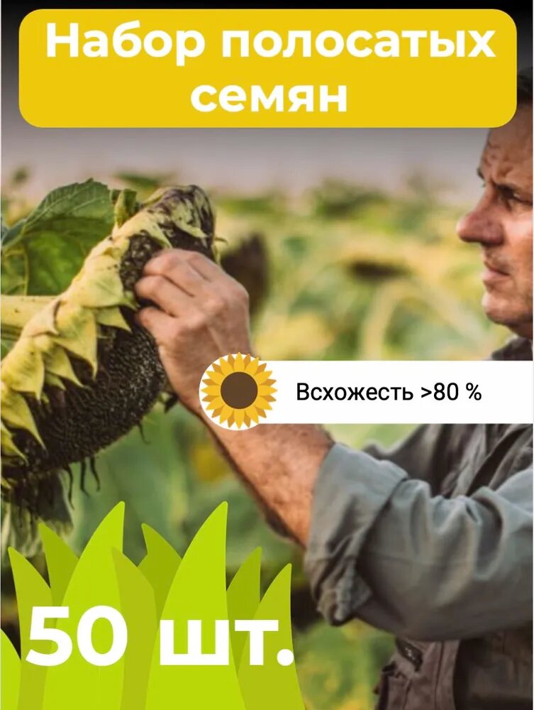 Семена подсолнечника полосатые, упаковка 50шт