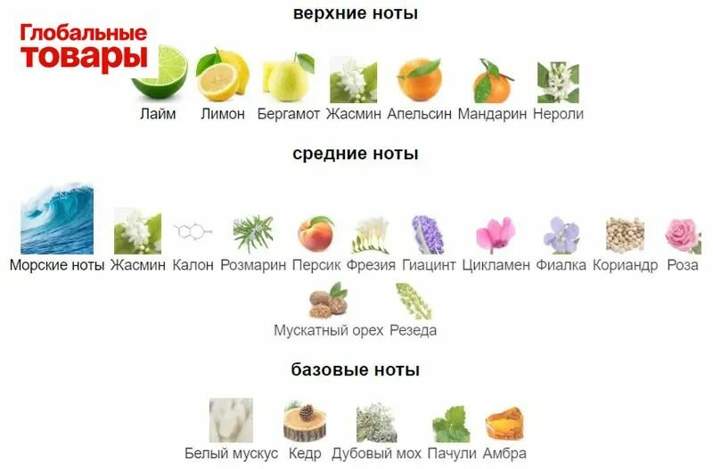 Туалетная вода E07oMu 100 мл — фото 1