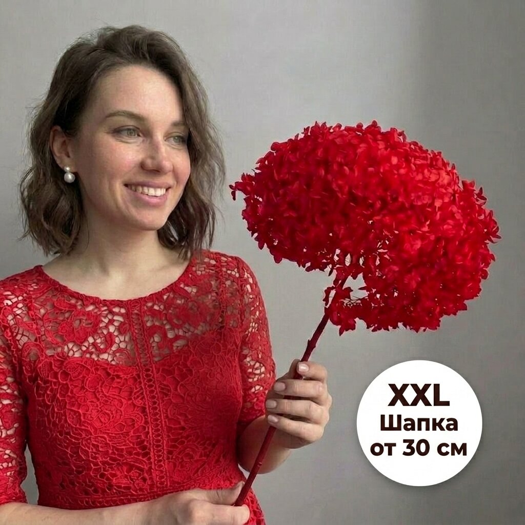 Гортензия стабилизированная красная, сухоцвет для декора, 60 см