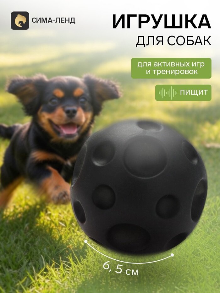 Игрушка для собак с пищалкой «Мячик планета», 6.5 см, черная