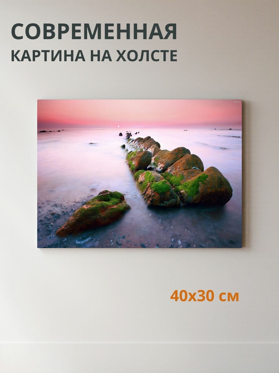 Картина на холсте Камни у берега моря 40x30 см