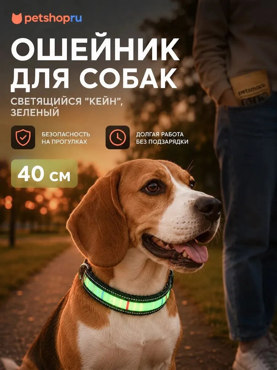 Tappi Светящийся ошейник "Кейн", S