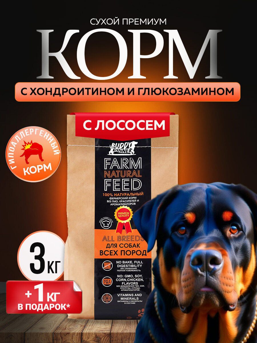 Сухой корм для собак крупных и средних пород Buddy Dinner Orange Line гипоаллергенный с лососем 3 кг + 1 кг в подарок