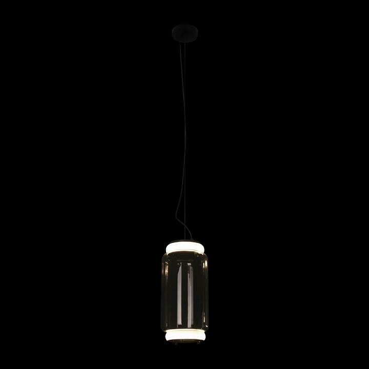 Подвесной светильник Loft it Noctambule 10194 S цвет плафона подвески Прозрачный, цвет арматуры Черный