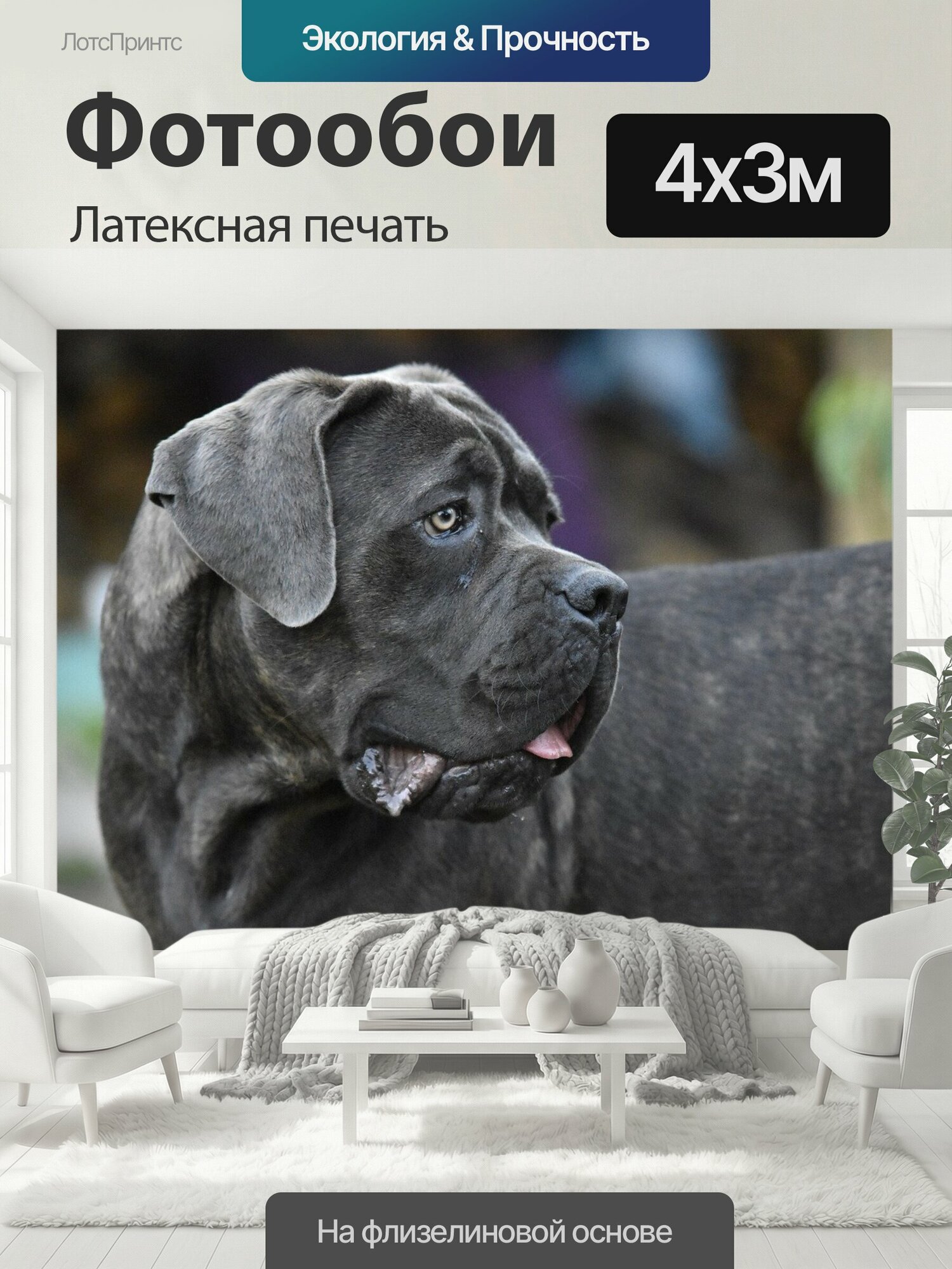 Фотообои моющиеся ударопрочные "Кане корсо, собака, животные" 400x300 см. латексная печать