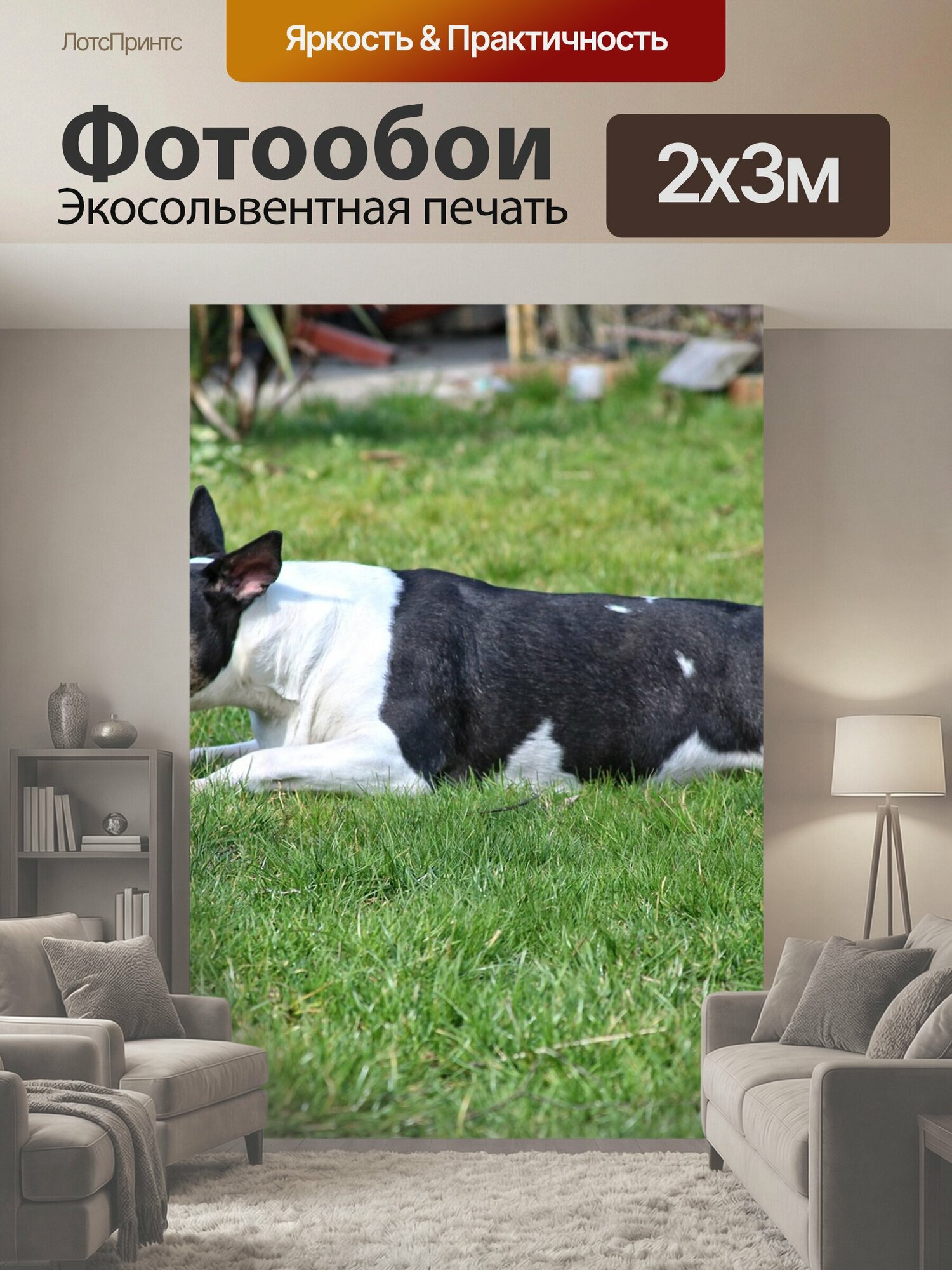 Фотообои "Собака, бультерьер, черно-тигровый" 200x300 см. экосольвентная печать