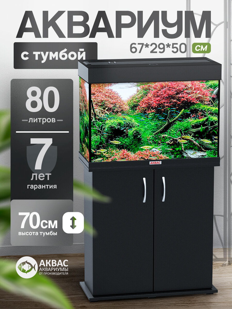 Аквариум 80 литров с тумбой крышкой и освещением (67х29х50 см) Аквас