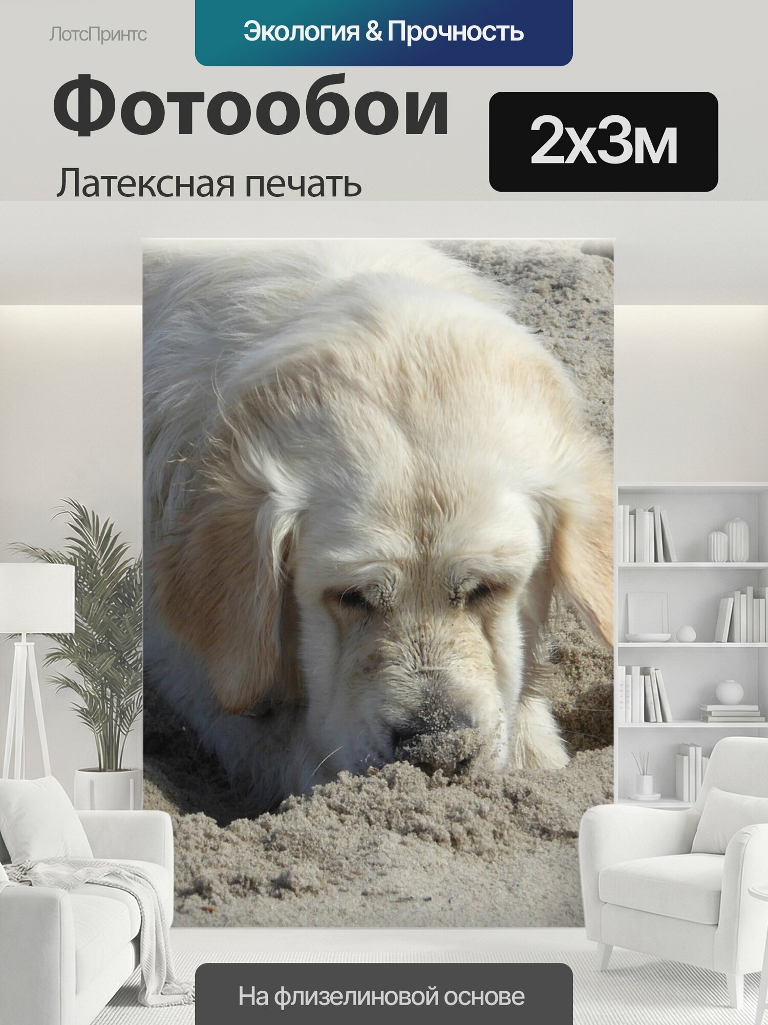 Фотообои моющиеся ударопрочные "Золотистый ретривер, собака, пляж" 200x300 см. латексная печать