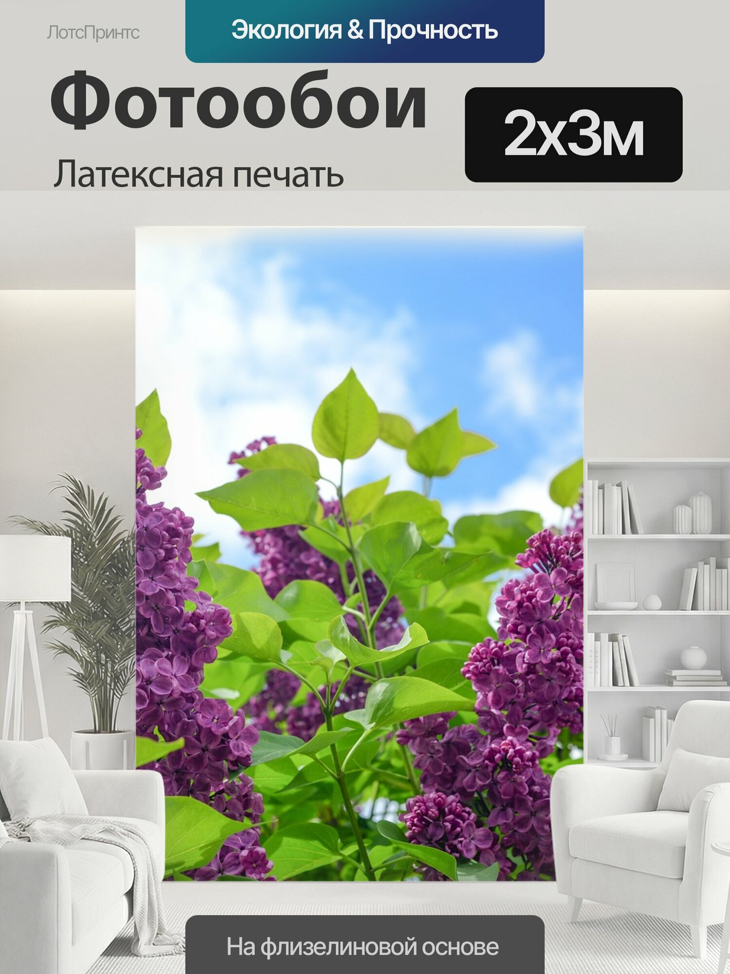 Фотообои моющиеся ударопрочные "Цветок, фиолетовый, блум" 200x300 см. латексная печать
