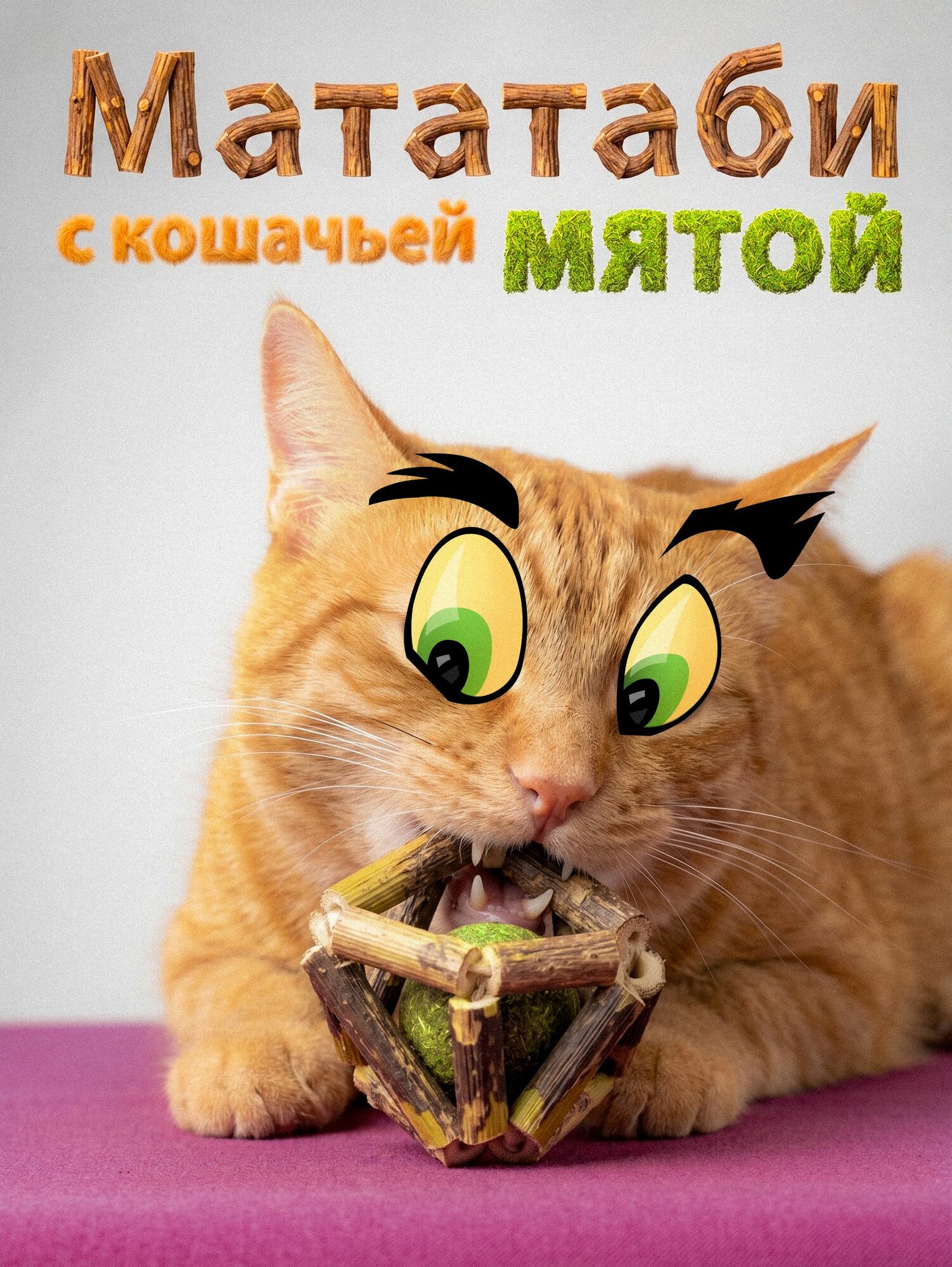 Игрушка для кошек, шарик мататаби с кошачьей мятой натуральный