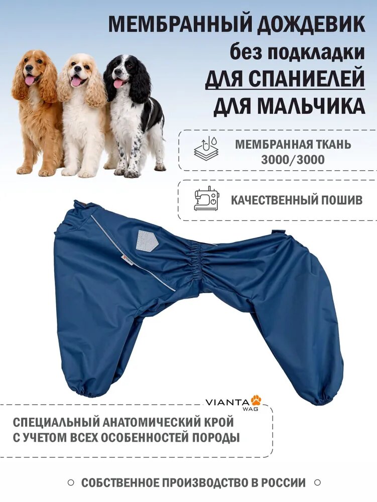 Мембранный дождевик без подкладки для спаниелей, для мальчиков