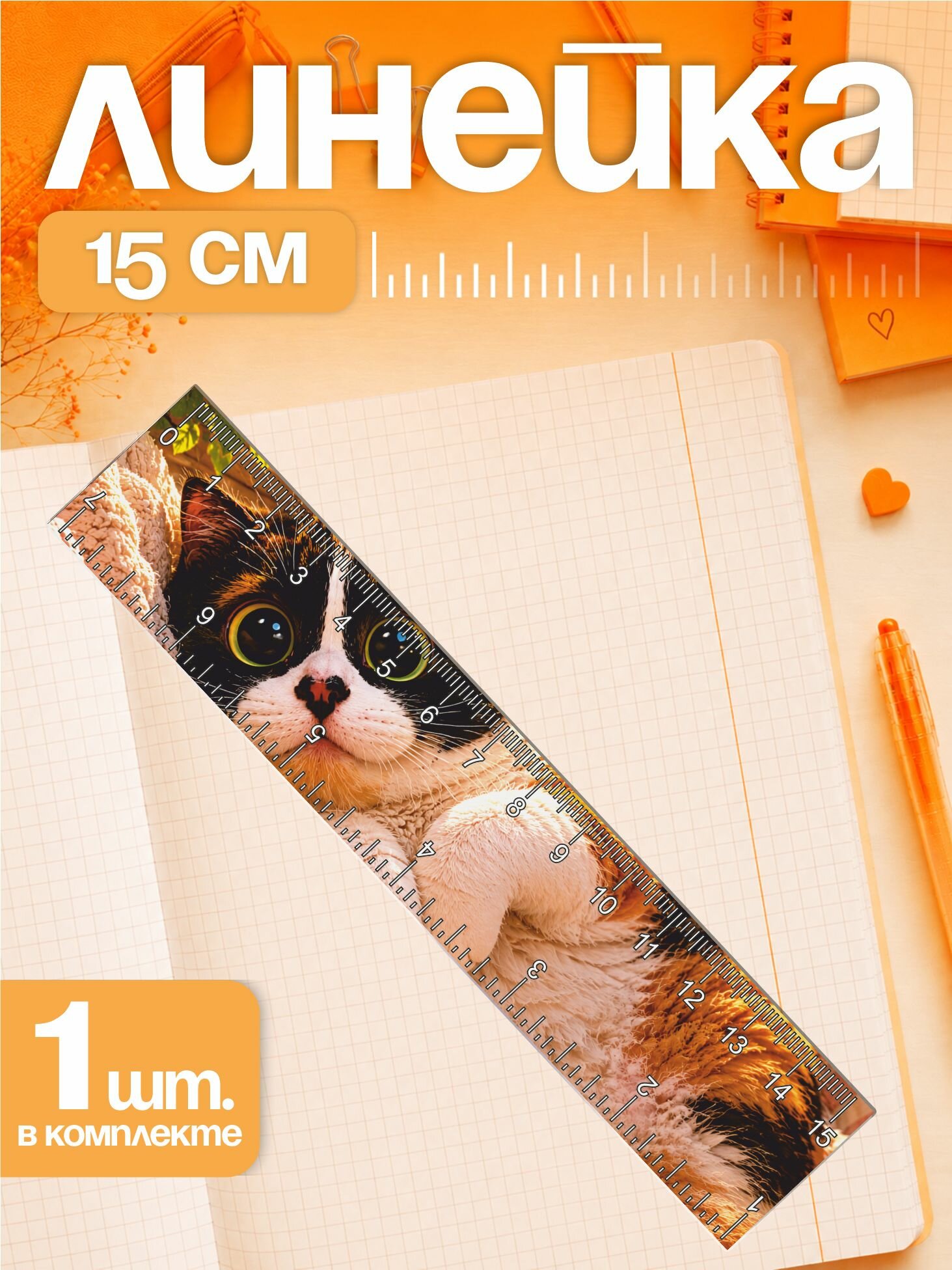 Канцелярия для школы линейка 15 см мем котость мелстрой тик ток