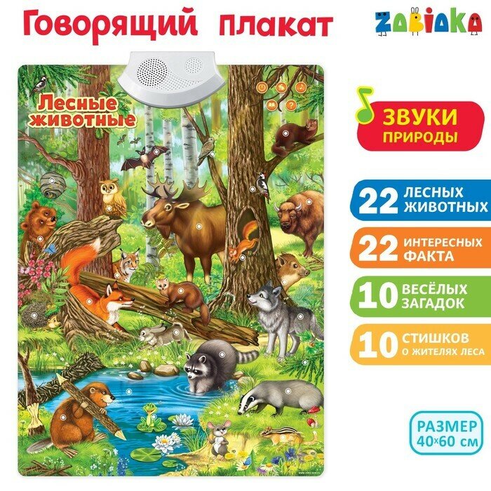 Говорящий электронный плакат Лесные животные , работает от батареек