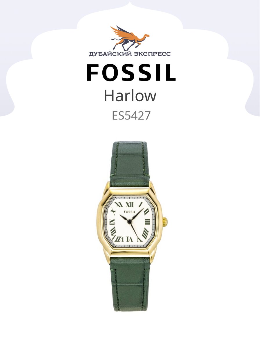  FOSSIL