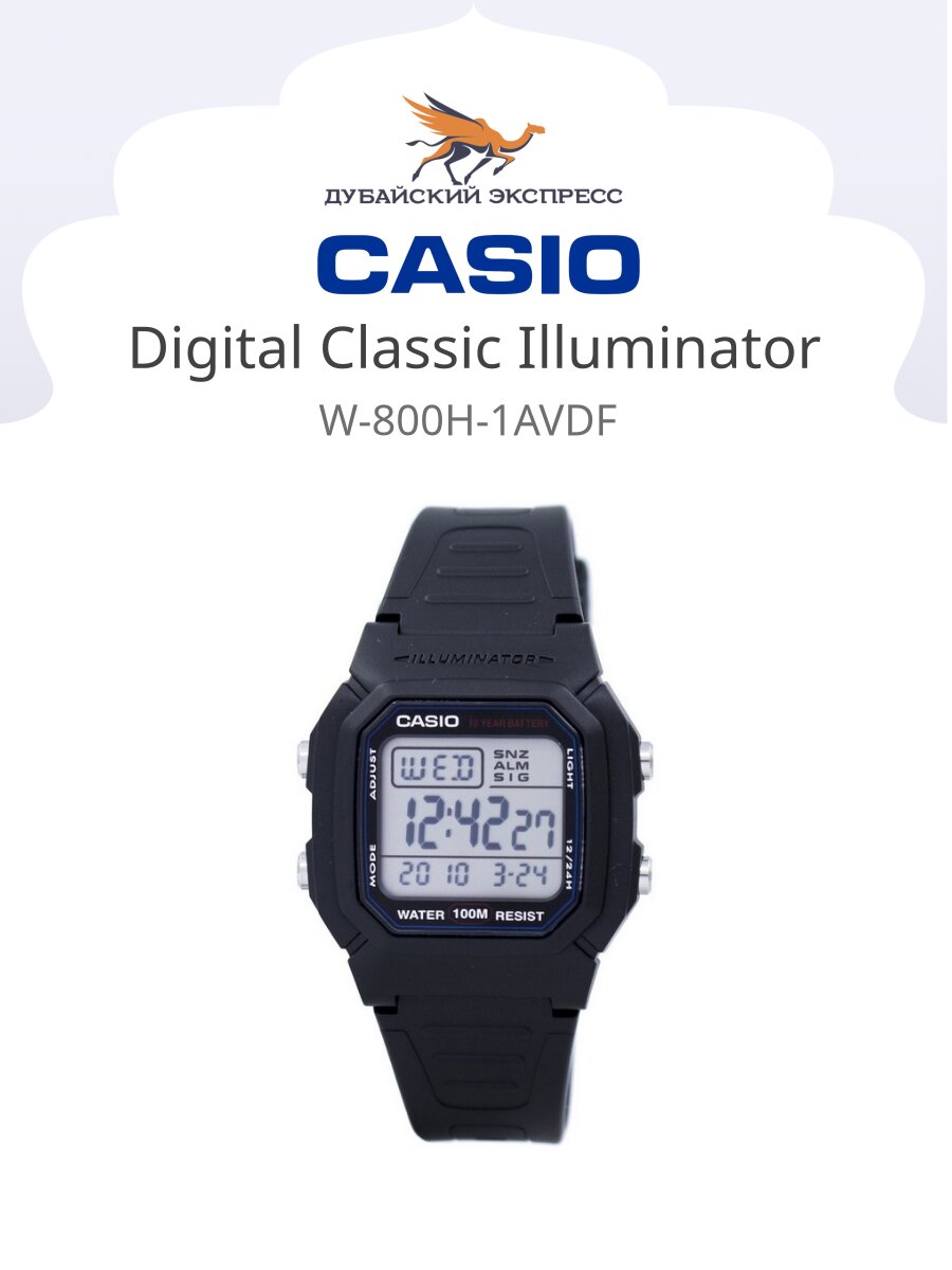  CASIO