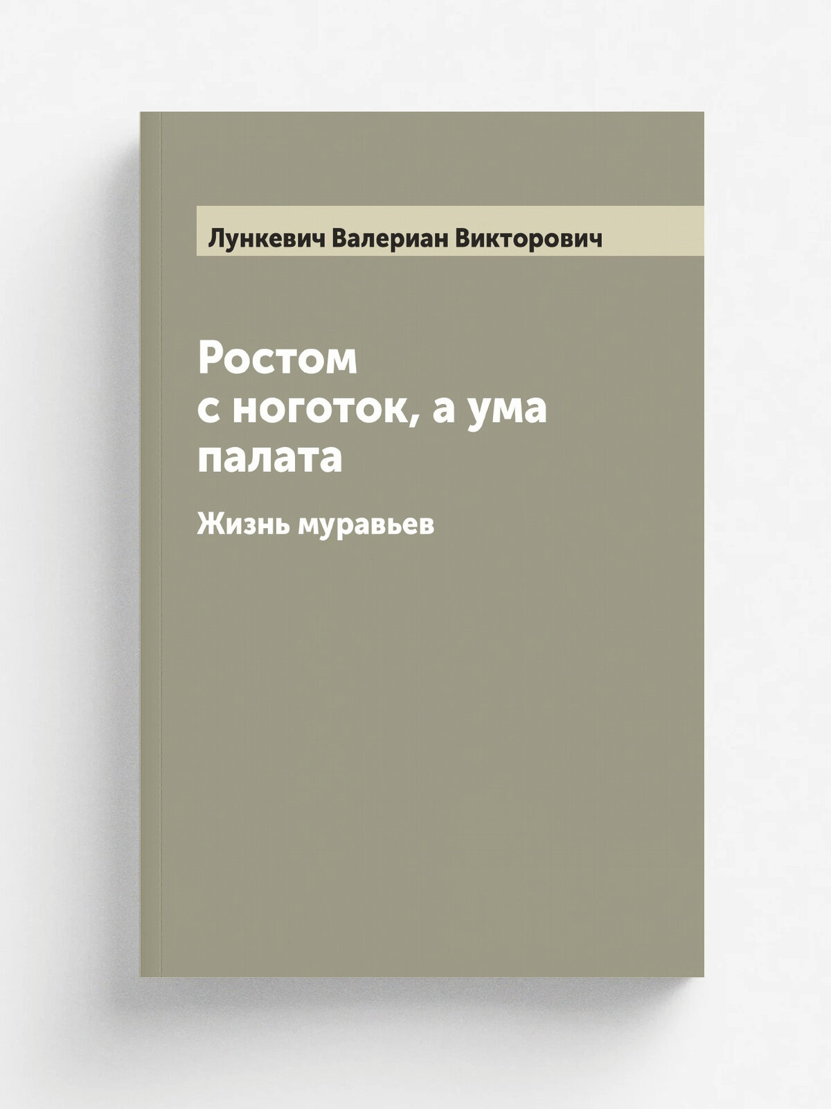 Ростом с ноготок, а ума палата. Жизнь муравьев