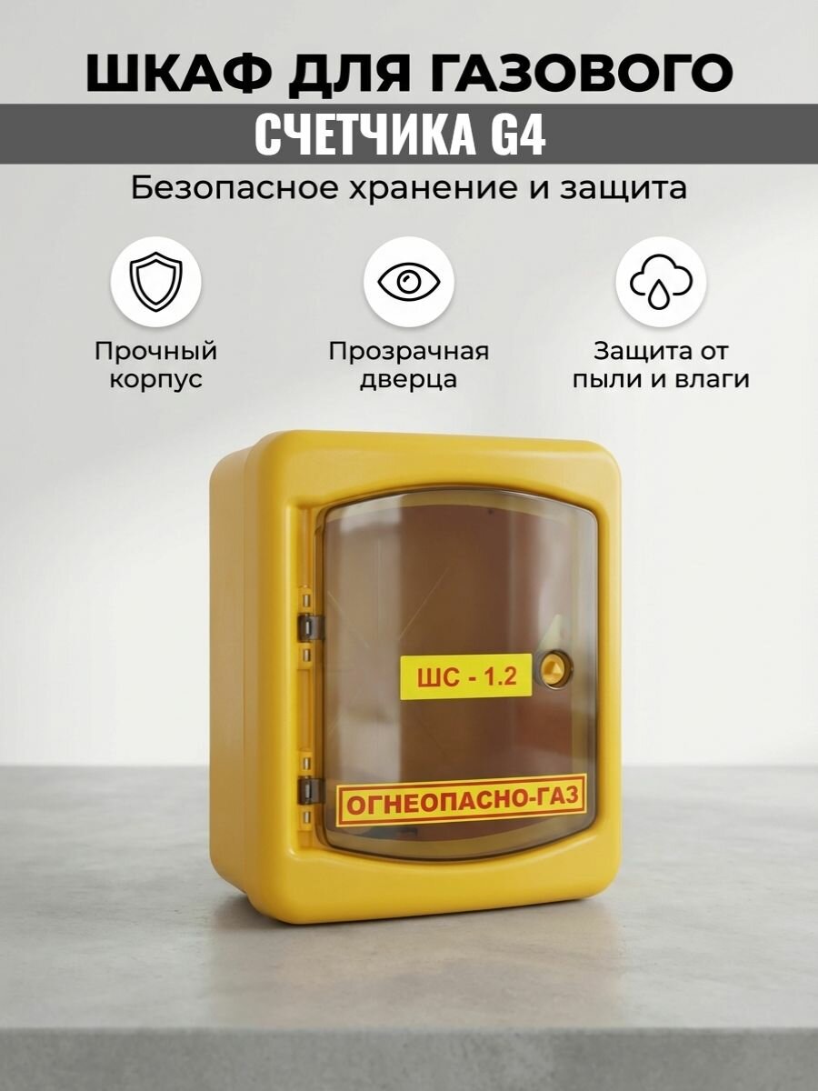 Шкаф для газового счетчика G4 с дверцей