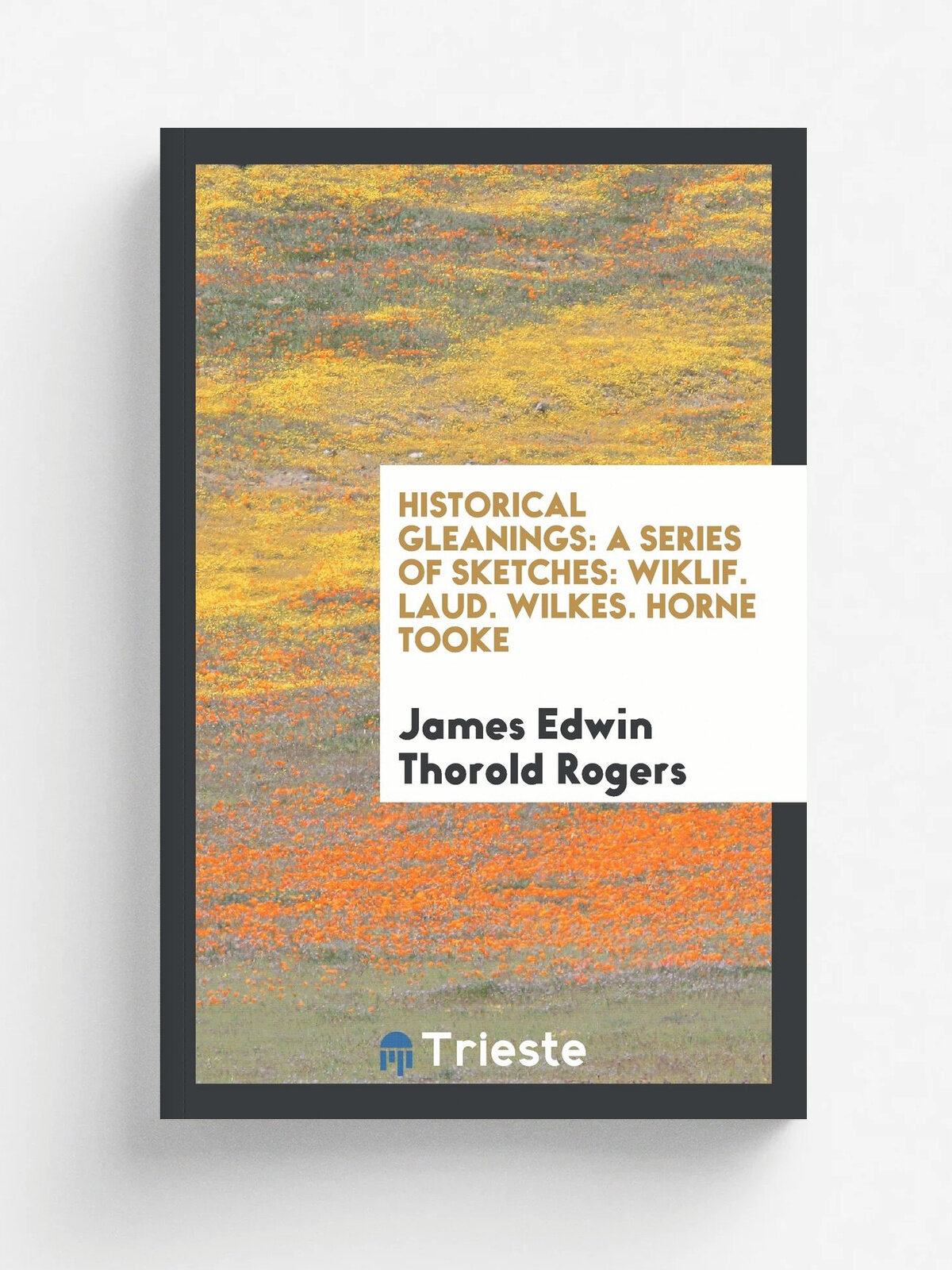 Historical gleanings. a series of sketches: Wiklif. Laud. Wilkes. Horne Tooke