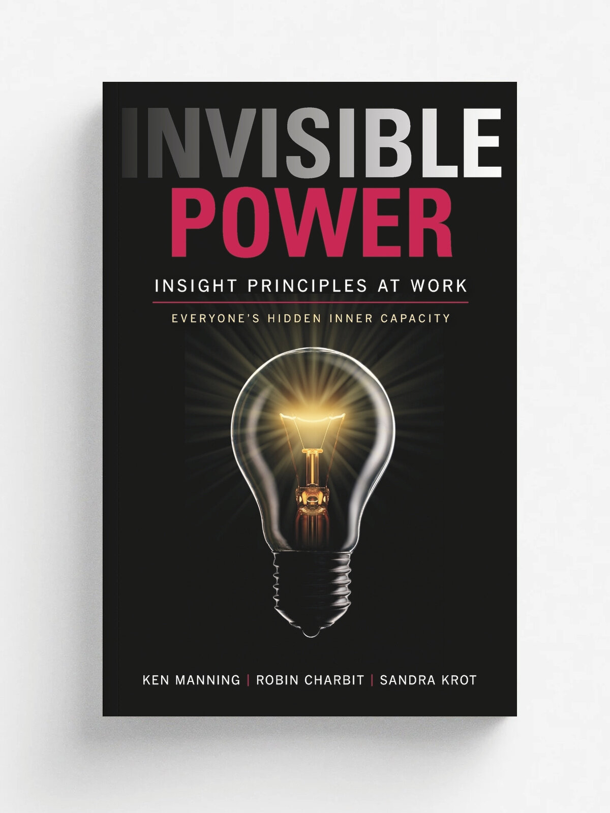 Invisible Power. Insight Principles at Work: Everyone's Hidden Capacity