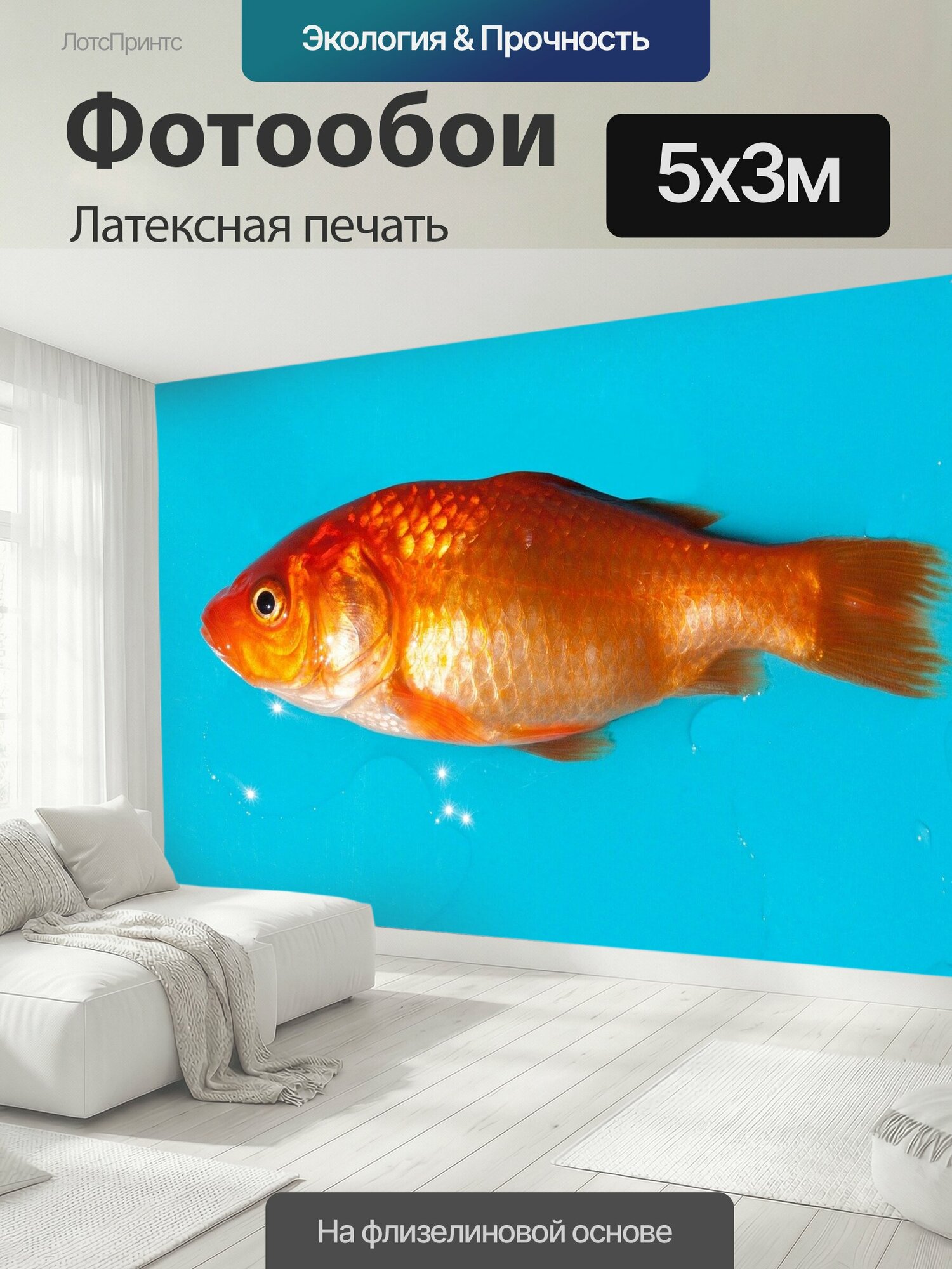 Фотообои моющиеся ударопрочные "Золотая рыбка, пресноводная рыба, карп рыба" 500x300 см. латексная печать