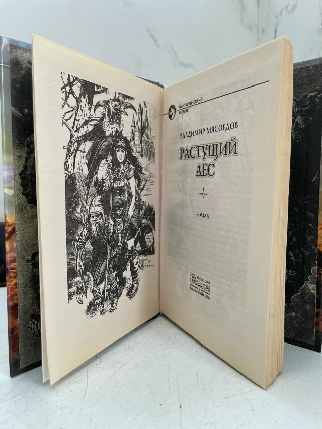 Растущий лес — фото 1