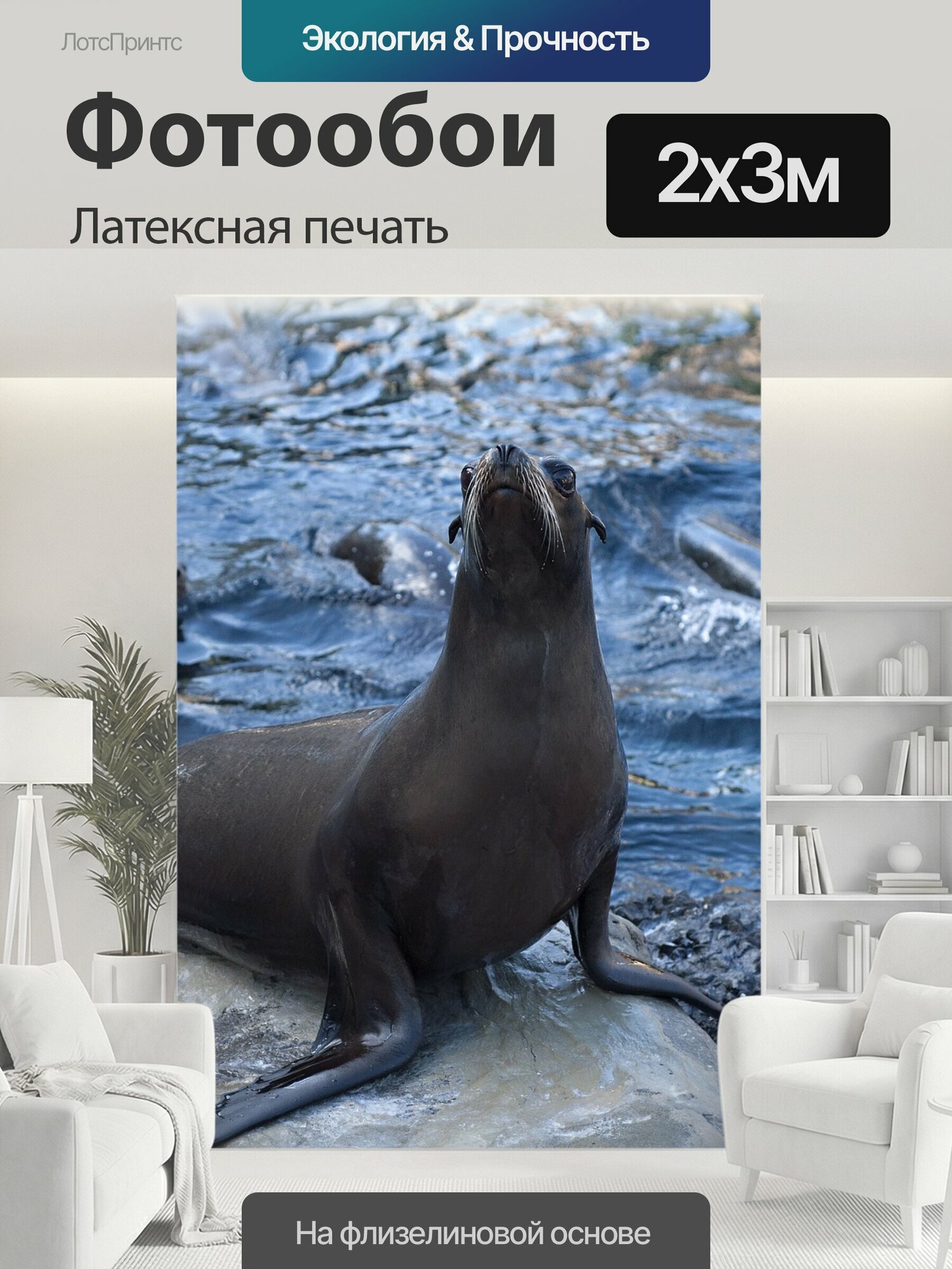 Фотообои моющиеся ударопрочные "Морской лев, океан, молодой" 200x300 см. латексная печать