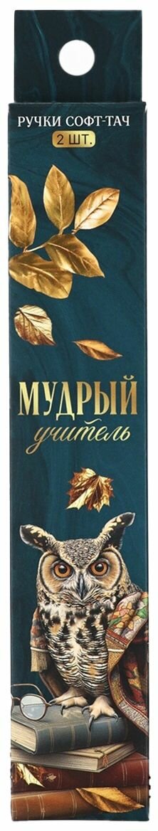 Набор шариковых ручек "Мудрый учитель", комплект синих софт-тач ручек 0.7 мм, 2 шт.