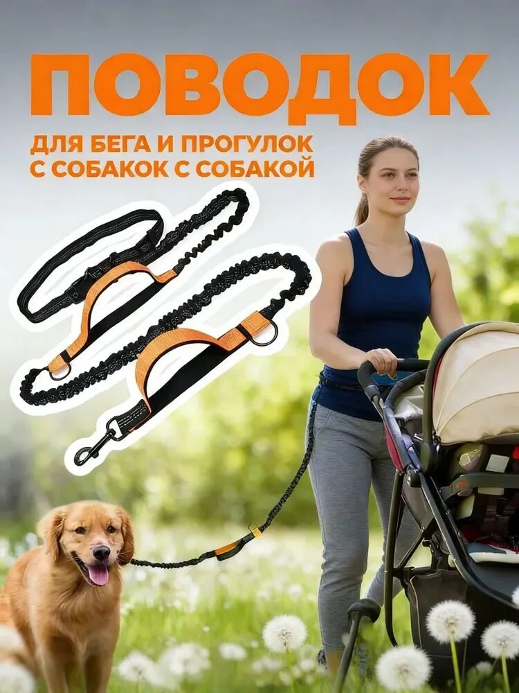 Поводок с поясом для бега с собакой, эластичный с амортизаторами и регулируемым поясом / Цвет черный с оранжевым