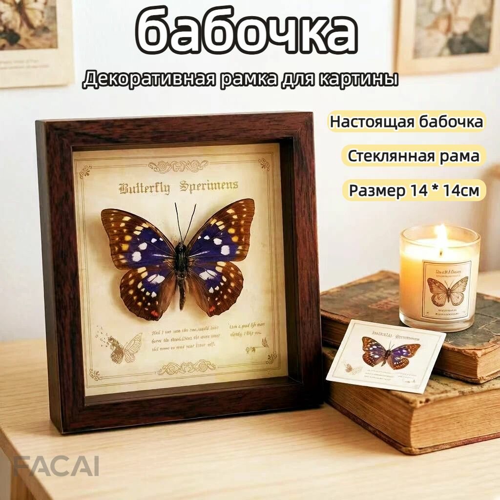 Бабочки в рамке, коллекция настоящих бабочек