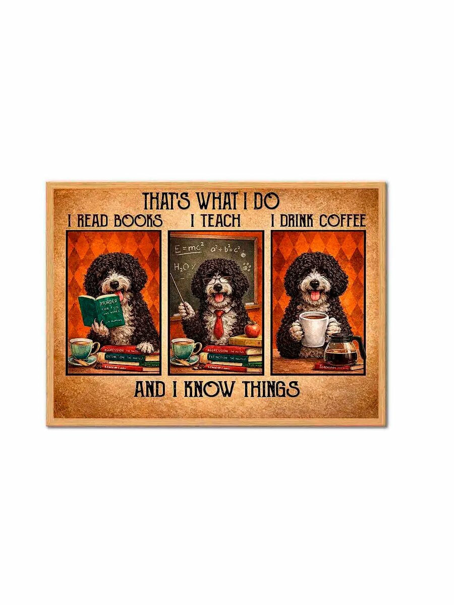 Португальская водяная собака, Read Teach Drink, Плакат 30x4