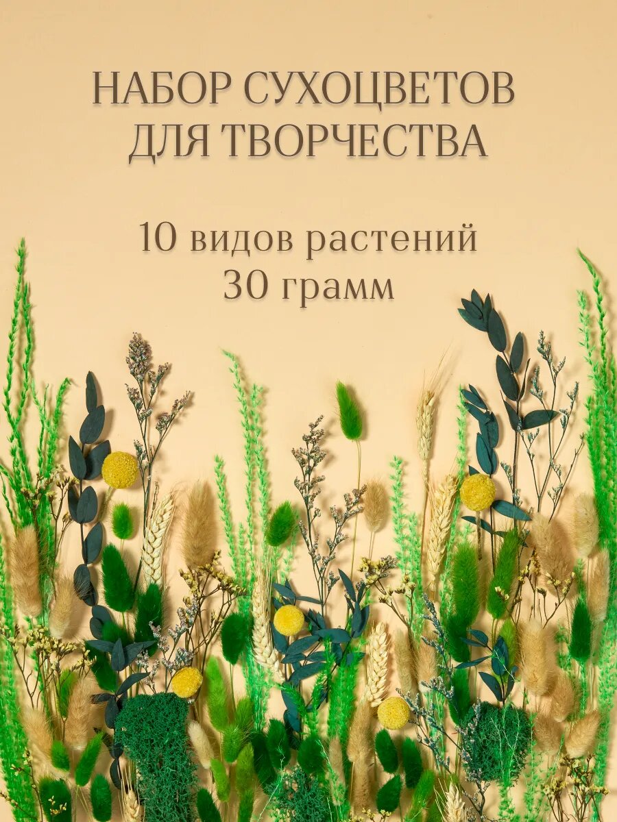 Набор сухоцветов elka.bio Art.59000525, для творчества и декора, 3 цвета
