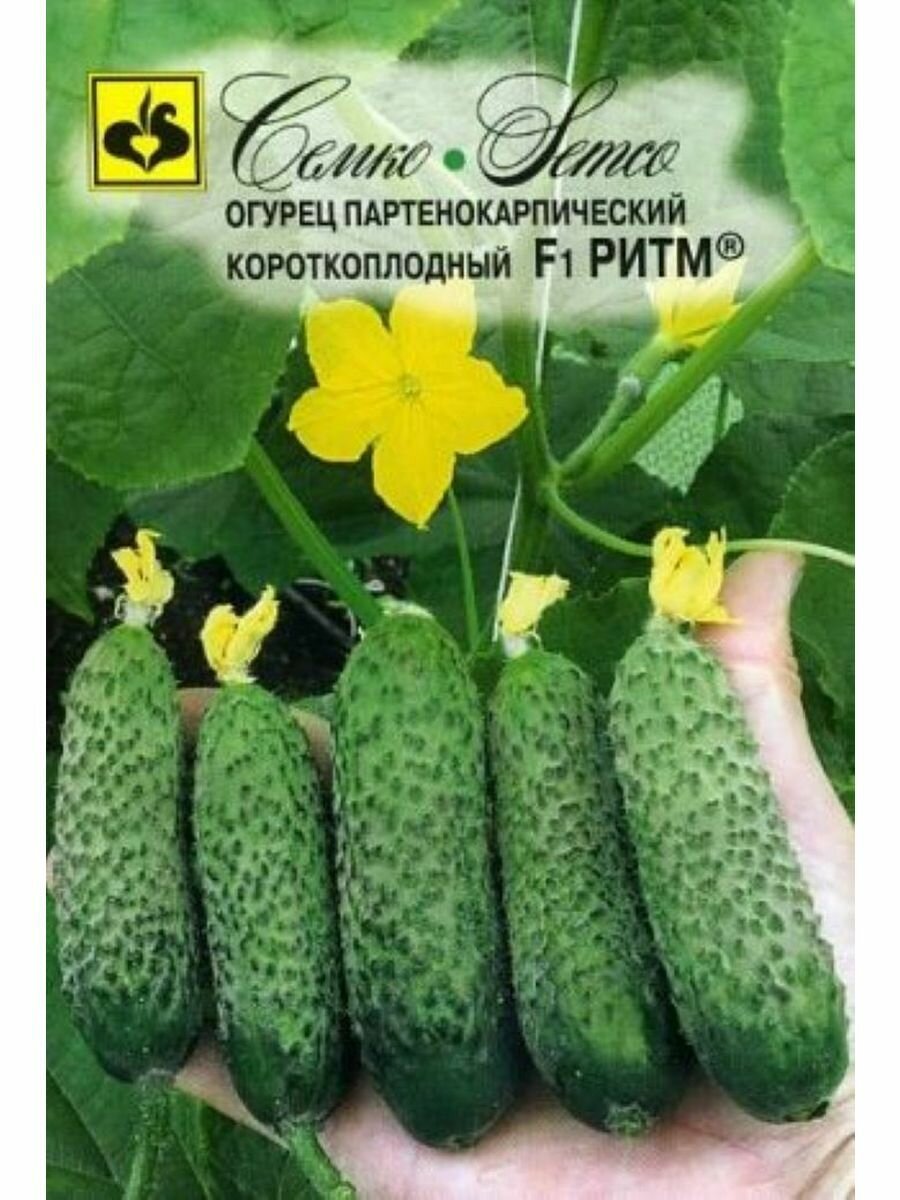 Огурец Ритм F1,5 семян