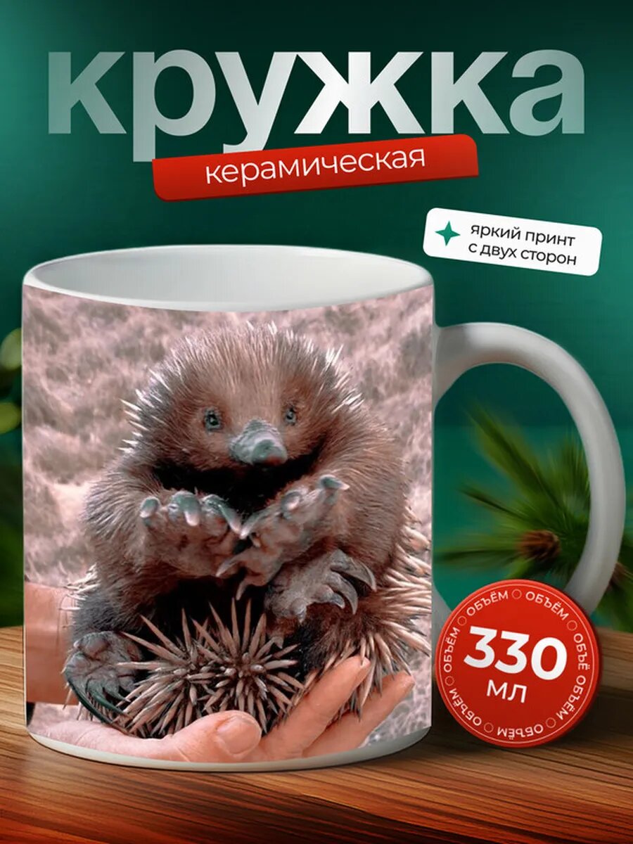 Кружка Ехидна животное,