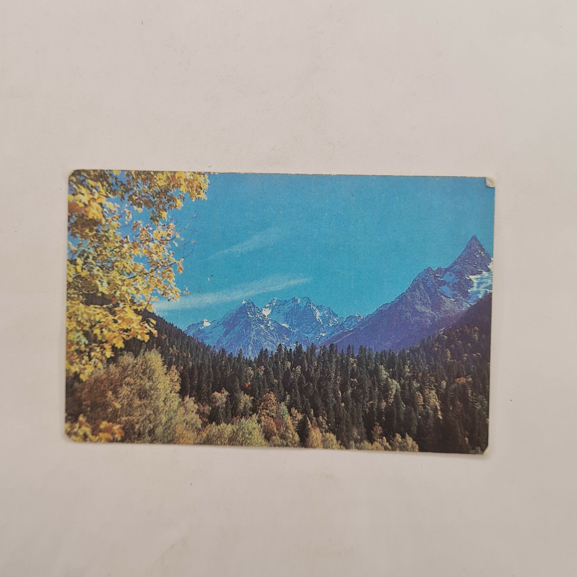 Карманный календарик СССР 1981. Домбай, горный пейзаж и осенний лес. Советский календарь
