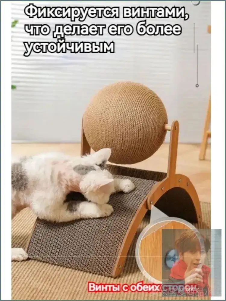 Когтеточка — фото 1