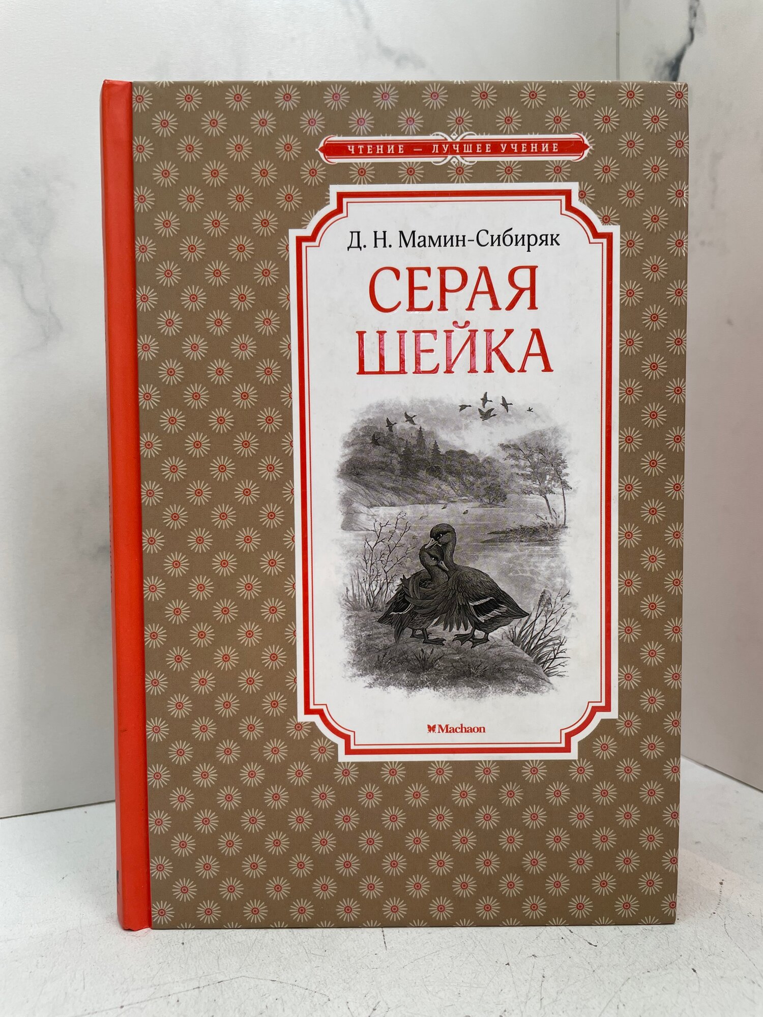 Серая Шейка — фото 1