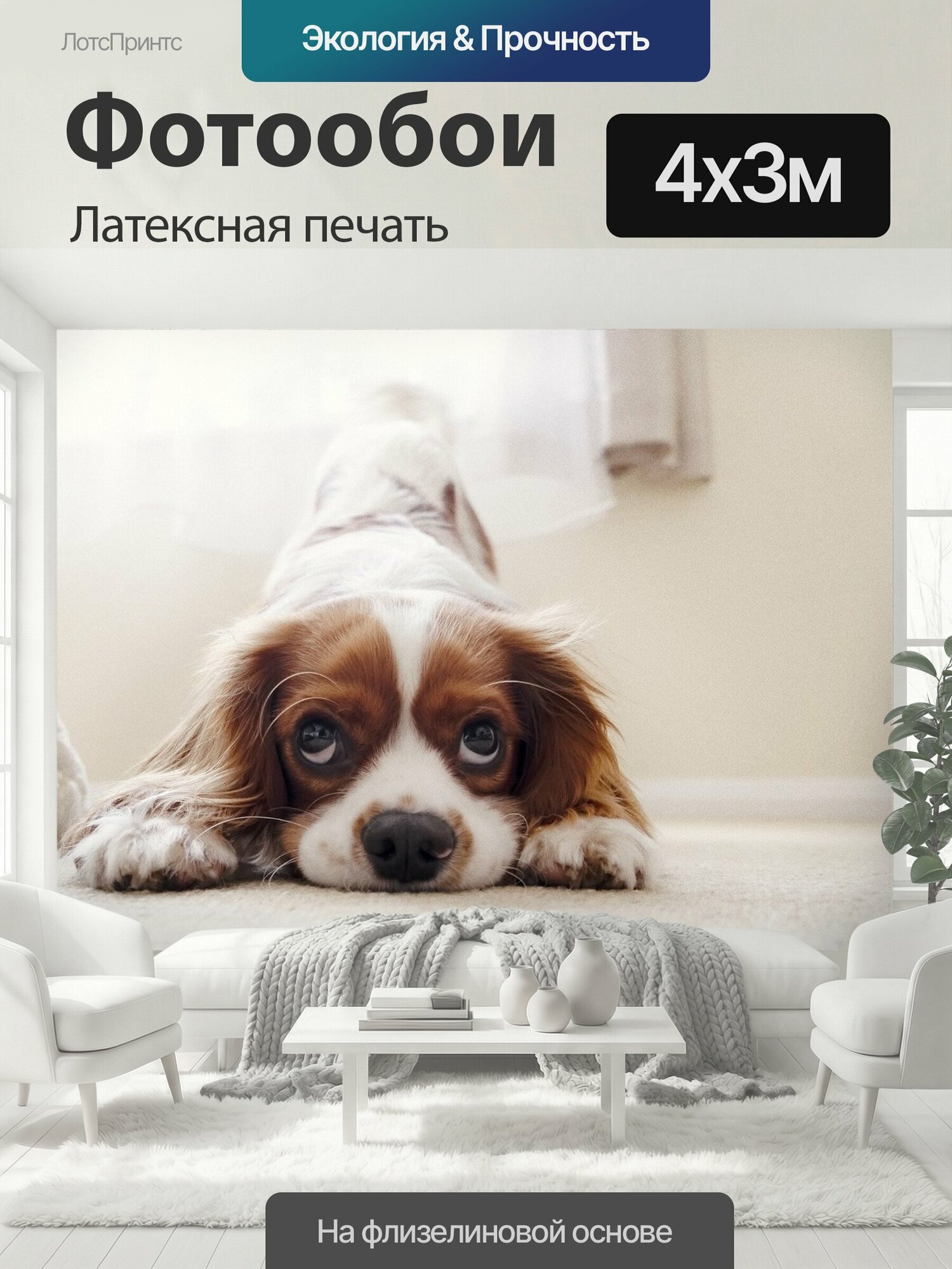 Фотообои моющиеся ударопрочные "Кавалер кинг чарльз спаниель, щенок, собака" 400x300 см. латексная печать