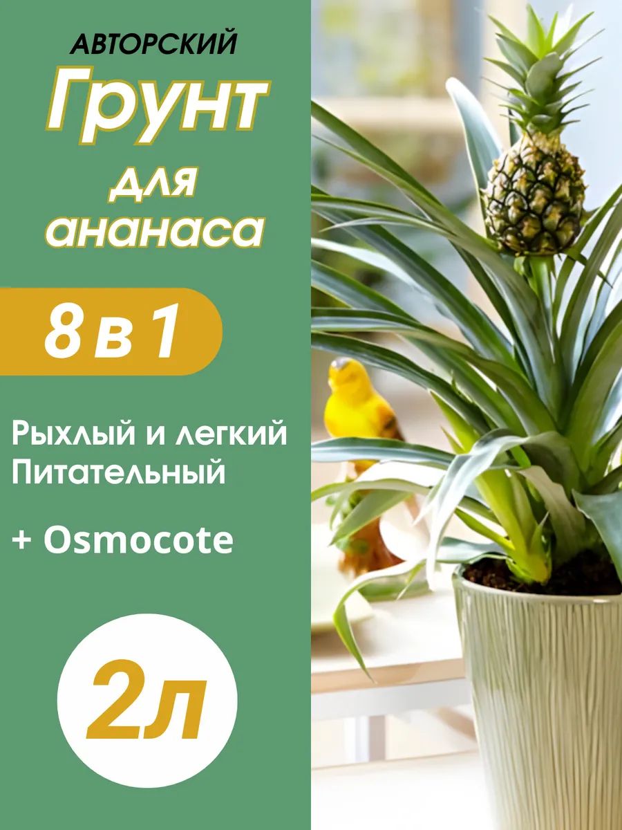 Грунт для Ананаса готовый 2л