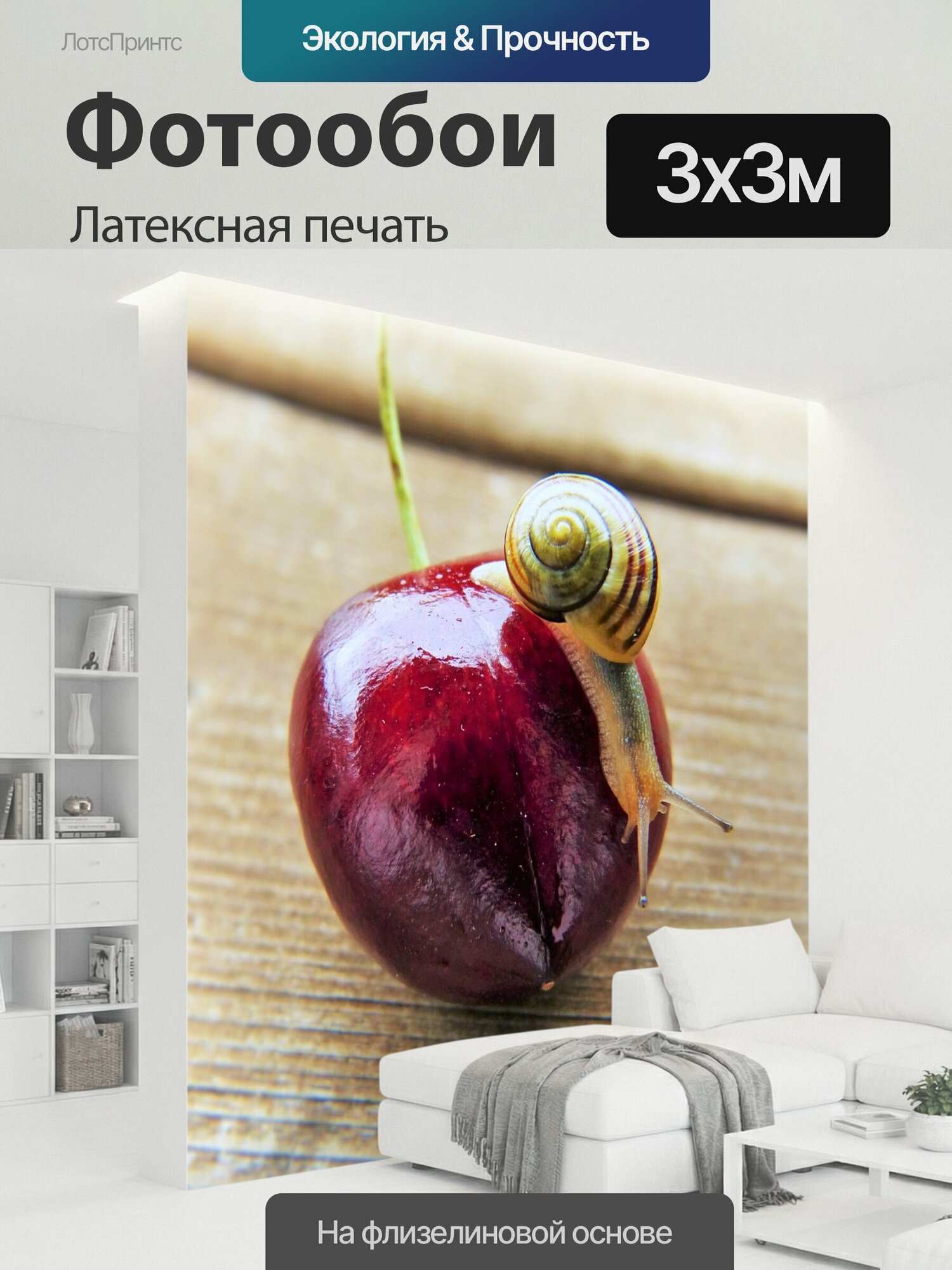 Фотообои моющиеся ударопрочные "Вишня, улитка, оболочка" 300x300 см. латексная печать