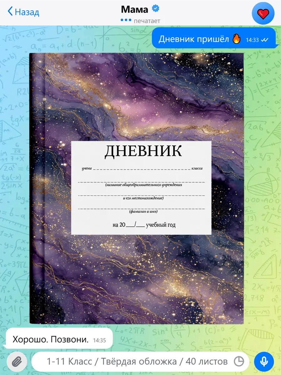 Школьный дневник с принтом Роблокс