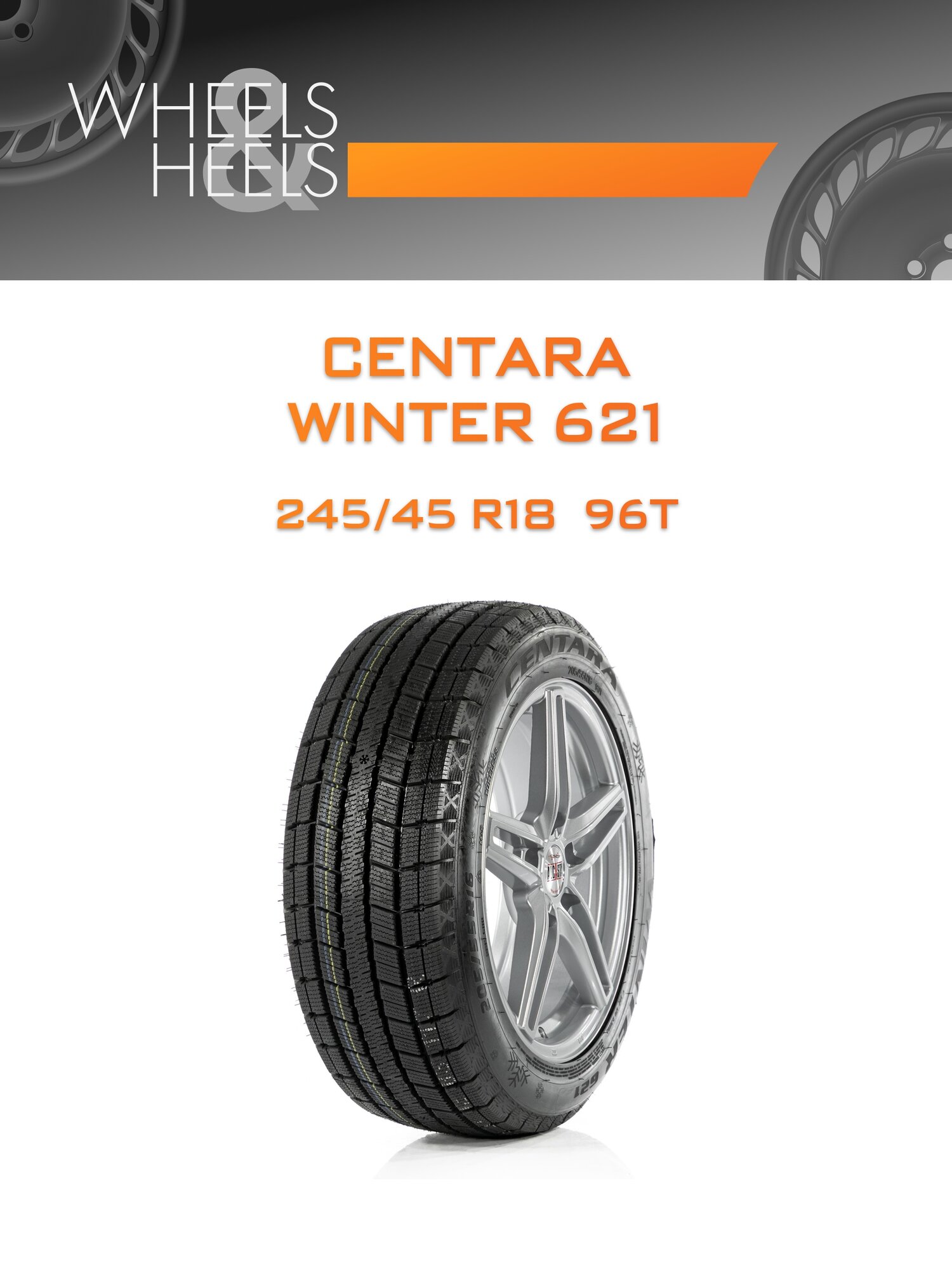 Шина автомобильная CENTARA WINTER 621 245/45 R18 96T WINTER, зимняя, универсальная
