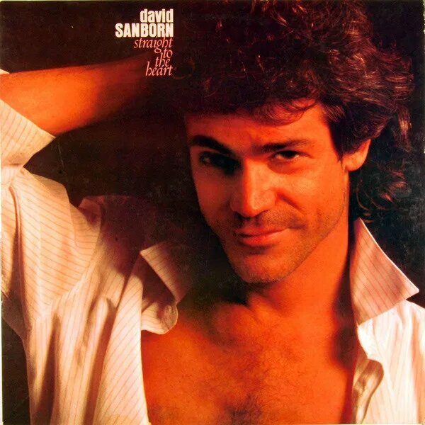 David Sanborn - Straight To The Heart VG-