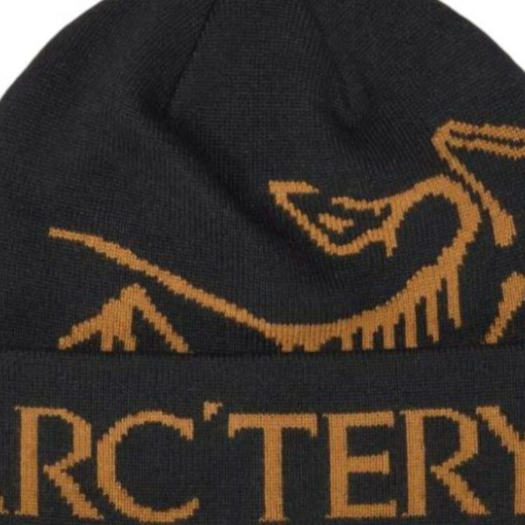 Шапка Arc'teryx для мужчин, размер Ф, черный — фото 1