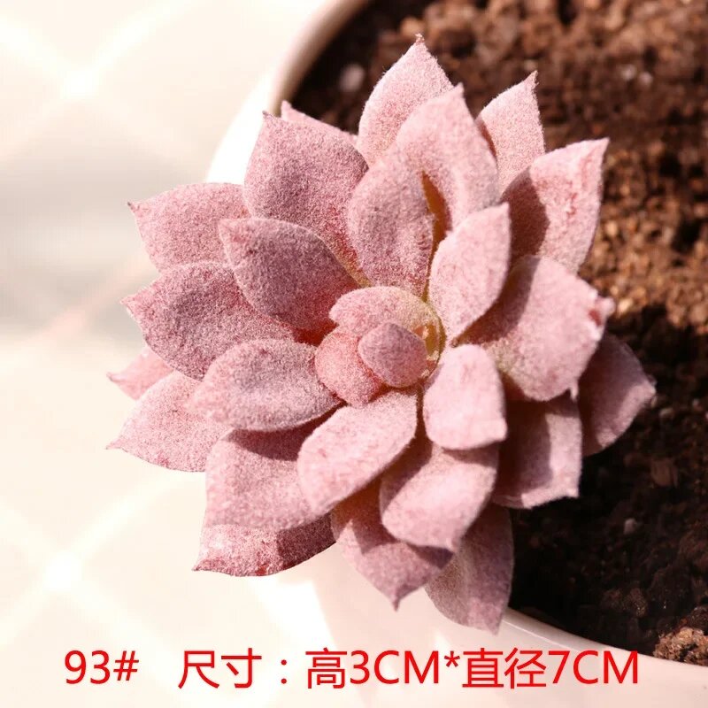 Искусственные суккуленты Wusmart Bonsai FP TianShuangLian