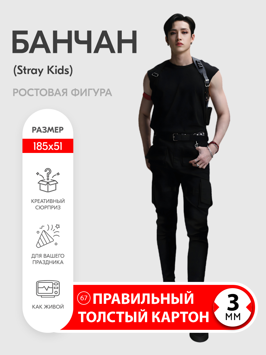 Аксессуар для фотосессий, самое это, Банчан (Stray Kids) 1, ростовая фигура