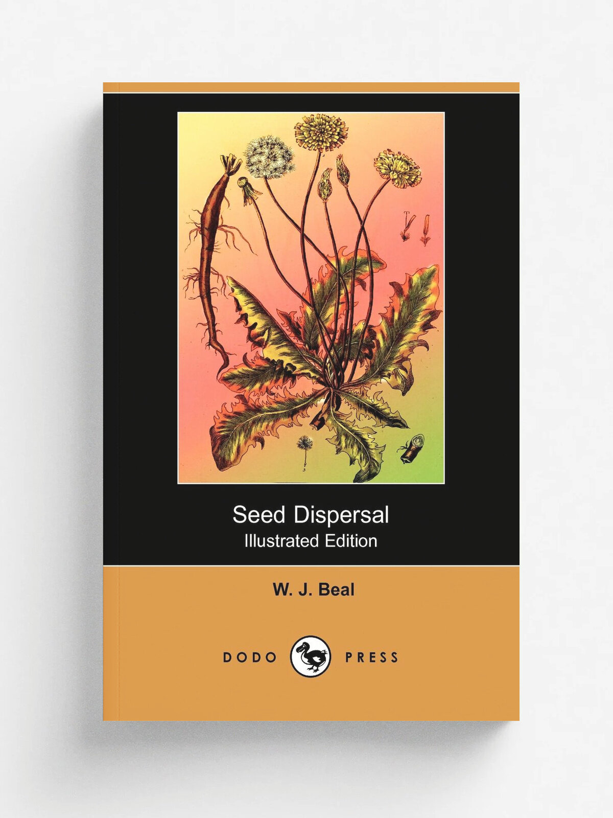 Seed Dispersal (Illustrated Edition) (Dodo Press)